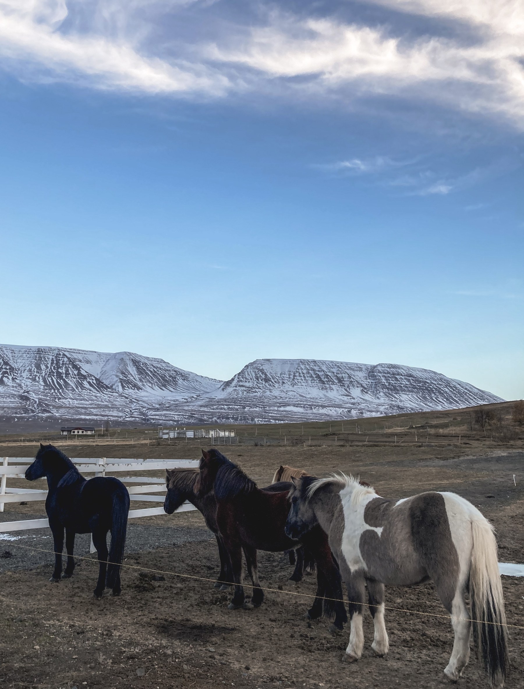 Pisa’s Hidden Gem: The Best Sunset Views of the Leaning Tower of Pisa (with a pint!) – The ...
